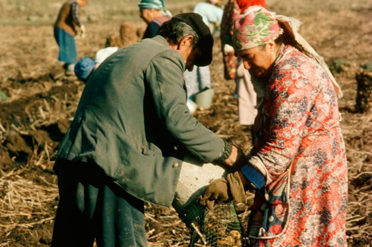FocaalBlog: Mihai Varga: Crisis-tested, yet forgotten: Family farms in ...